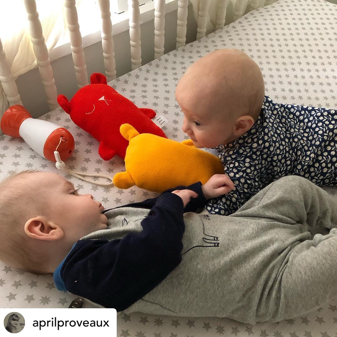Sibling Shenanigans: How to Foster Brotherly Love – Shusher