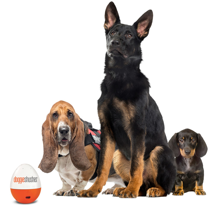 Doggie Shusher